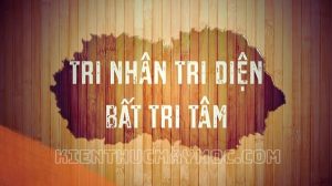 Giải thích ý nghĩa câu tri nhân tri diện bất tri tâm là gì?